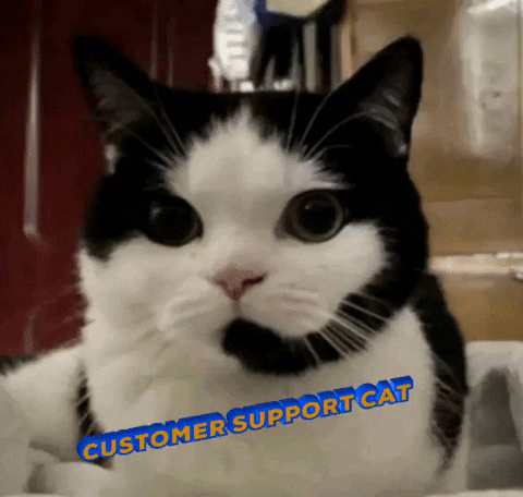 Customer Support Cat GIFs - Find & Share on GIPHY