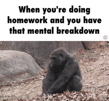 Breakdown GIFs - Find & Share on GIPHY