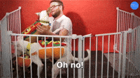 Family-questions GIFs - Get the best GIF on GIPHY