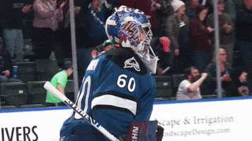 Colorado Eagles GIFs on GIPHY - Be Animated