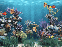Animated Aquarium Wallpaper Gif