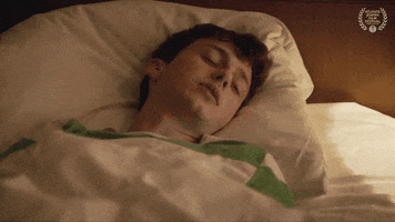 Delegation GIFs on GIPHY - Be Animated