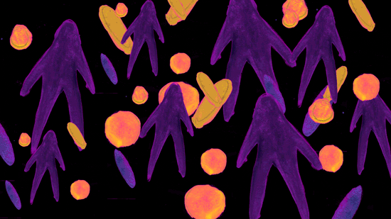 Negative Shape GIFs - Get the best GIF on GIPHY