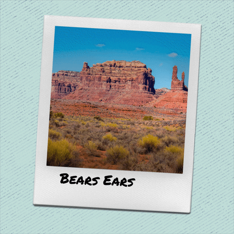 Bears Ears GIFs - Get the best GIF on GIPHY