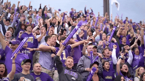 Football Fans GIF by James Madison University - Find & Share on GIPHY