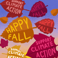 Fall is Finally Here! by INTO ACTION | GIPHY