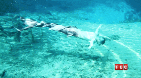 Mermaid Merman GIF by Digg - Find & Share on GIPHY
