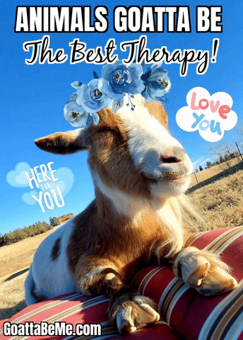 Pet-therapy GIFs - Get the best GIF on GIPHY