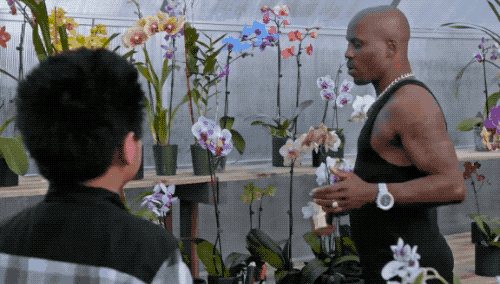 Orchids GIFs - Get the best GIF on GIPHY
