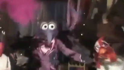 Gonzo-queitano GIFs - Get the best GIF on GIPHY