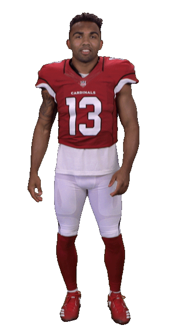 Arizona Cardinals Wide Reciever Sticker by NFL for iOS & Android | GIPHY