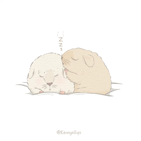 Cuddly GIFs - Get the best GIF on GIPHY