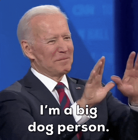 Dogs Person GIFs - Get the best GIF on GIPHY