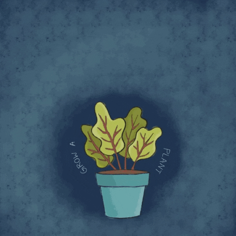 Happy Plant GIF - Find & Share on GIPHY