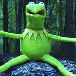 Kermit Falling GIFs - Find & Share on GIPHY