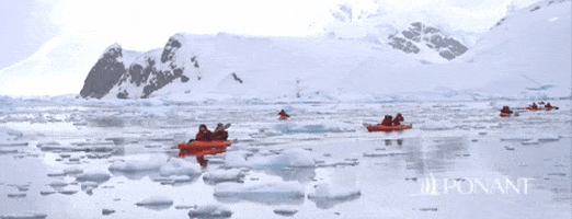 Snow Kayak GIFs - Get the best GIF on GIPHY