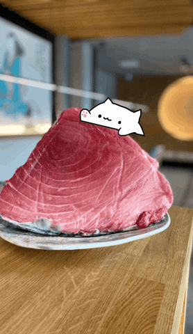 Pleco GIFs - Get the best GIF on GIPHY