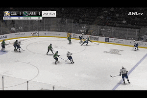 Vancouver Canucks GIFs on GIPHY - Be Animated