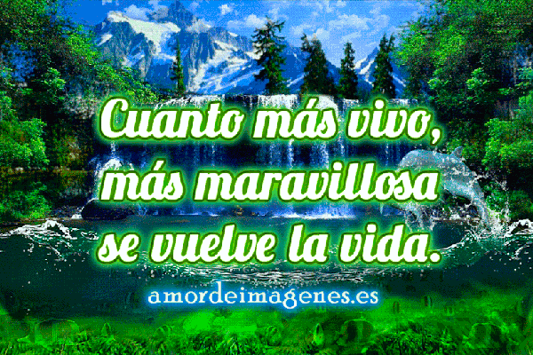 Vuelve A La Vida GIFs - Get the best GIF on GIPHY