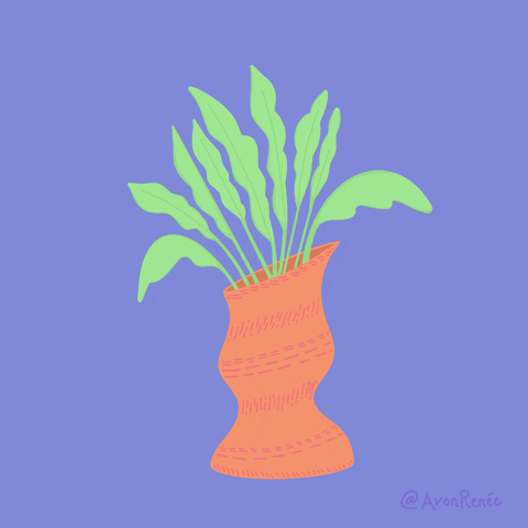 Coral Vase GIFs - Get the best GIF on GIPHY