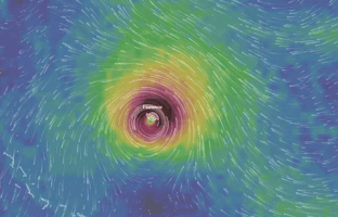Hurricane Winds GIFs - Find & Share on GIPHY