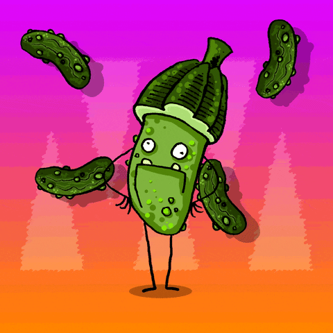 Tiny Pickle GIFs - Get the best GIF on GIPHY