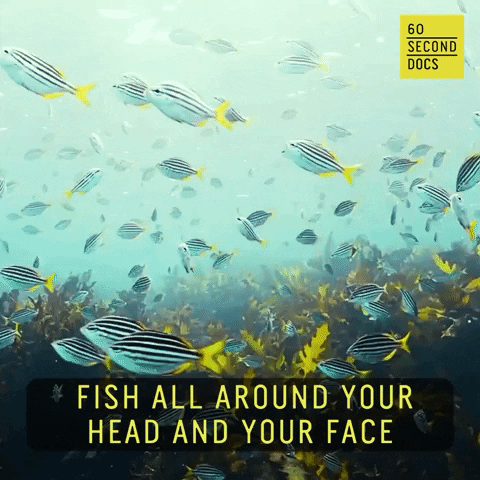 Water Swimming GIF by 60 Second Docs - Find & Share on GIPHY