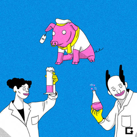 Nice Hog GIFs - Get the best GIF on GIPHY