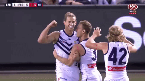 Afl Dockers GIF - Find & Share on GIPHY