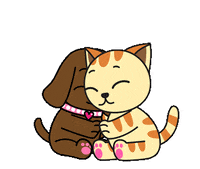 Cute Cat Hug Gif