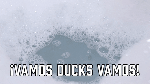 Anaheim Ducks Gif By Sealed With A GIF - Find & Share on GIPHY
