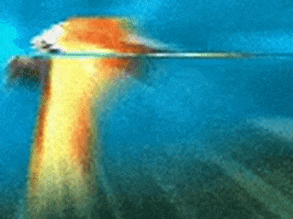 Routine of abs GIFs on GIPHY - Be Animated