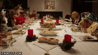 5 Ways to Celebrate The Holidays Next Year With Friends | The Odyssey ...