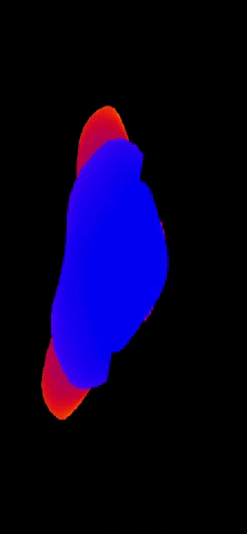 Art Morph GIF by Aleksey Efremov - Find & Share on GIPHY
