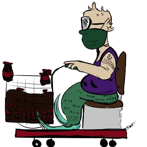 Programming Humor GIFs - Get the best GIF on GIPHY