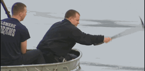 rescue | Tag | PrimoGIF