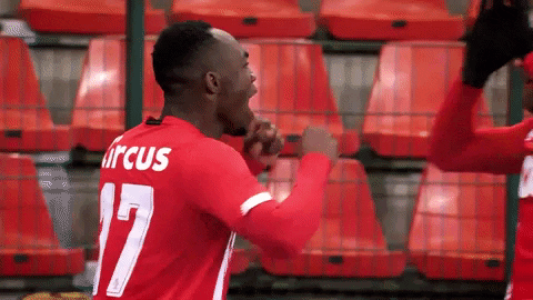 Celebration Victory GIF by Standard de Liège - Find & Share on GIPHY