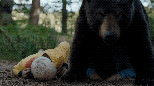 Patient Bear Gif