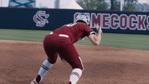 Lets Go Gamecock Softball GIF by gamecocksonline - Find & Share on GIPHY