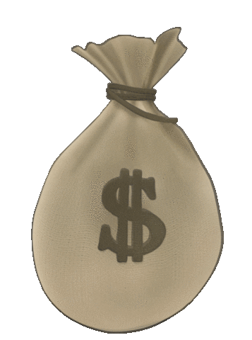 Money Bag Sticker for iOS & Android | GIPHY
