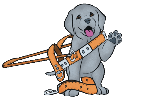 Guide Dogs of the Desert GIFs on GIPHY - Be Animated