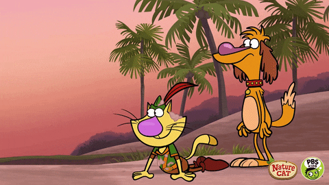 Scared Of Water GIFs - Get the best GIF on GIPHY