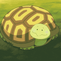 Awkward Turtle Animated Gif