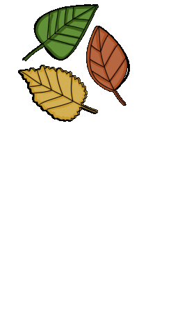 Falling Leaves Fall Sticker for iOS & Android | GIPHY