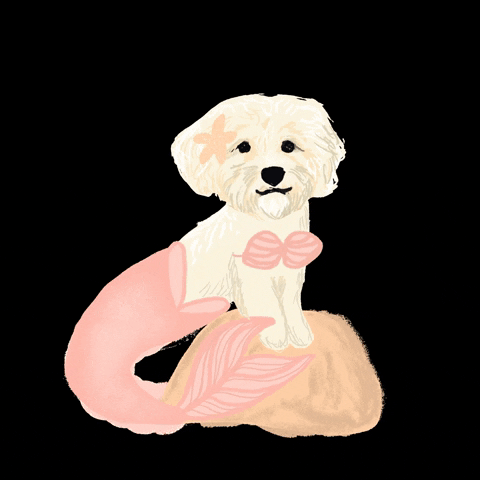 Dog Mermaid GIFs - Get the best GIF on GIPHY
