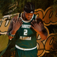 The Bulls Pen, Home of the USF Bulls