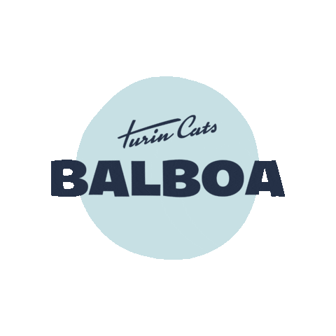 Turin Cats GIFs on GIPHY - Be Animated