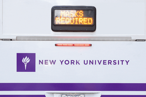 New York University GIFs - Get the best GIF on GIPHY
