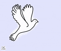Dove Animated Gif