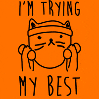 I Tried My Best Meme